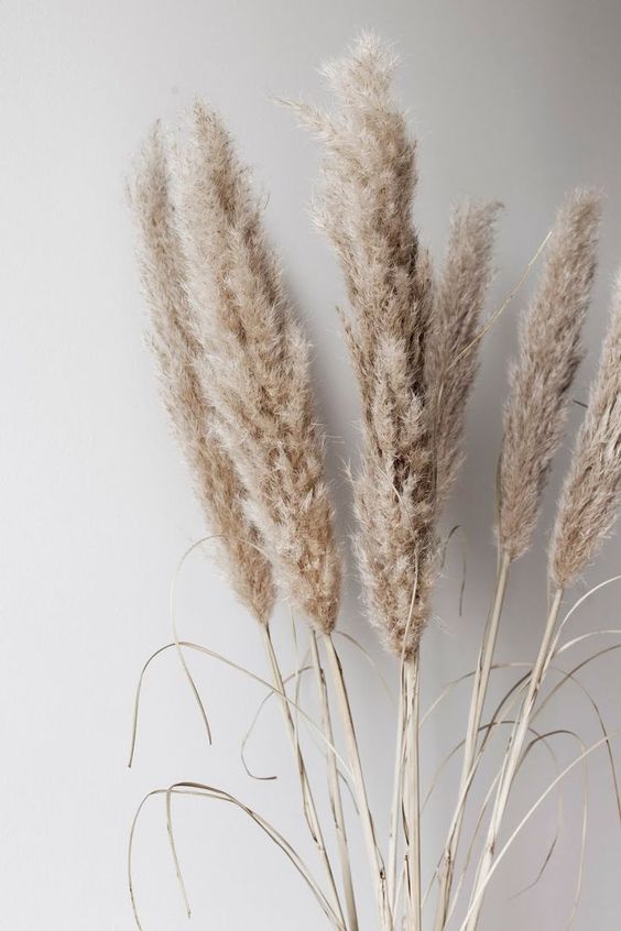 Hellotimber - Est. 2020 | Venue & Accommodation